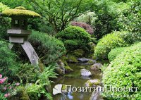 Landshaft Fruit Garden Design / Landscape Design